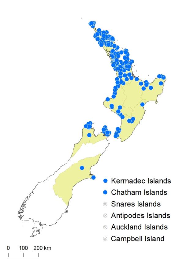 Flora of New Zealand | Taxon Profile | Adiantum fulvum